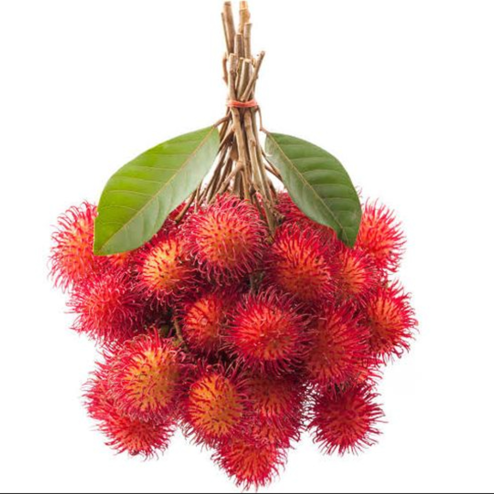 Rambutan – Fruit Indo Global